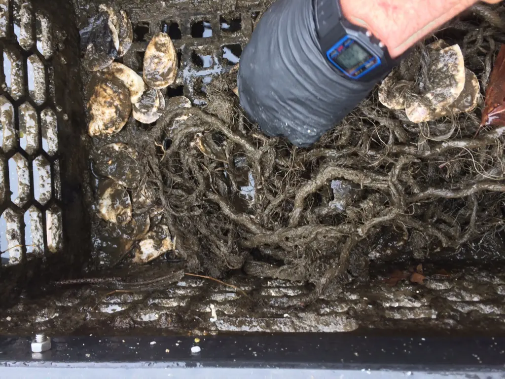 Water Quality Monitoring in Newtown Creek | Voltaic Systems Blog