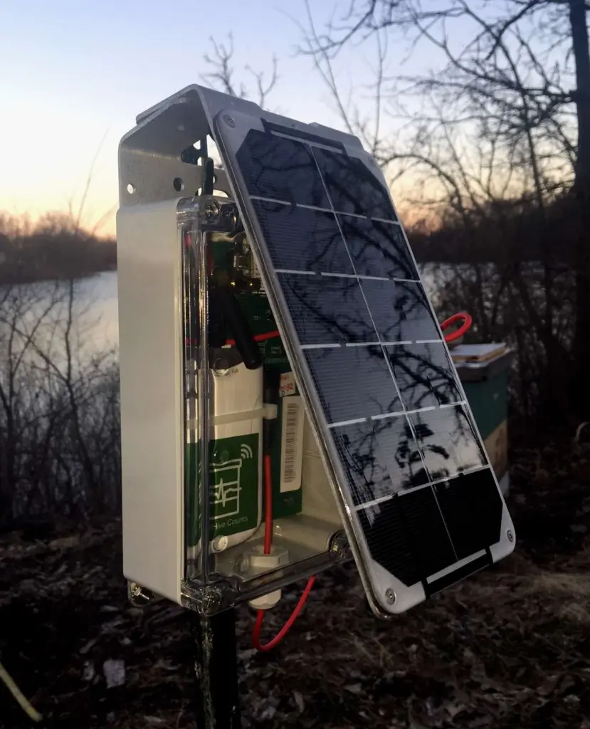 Solar for Beehive Monitoring | BroodMinder | Voltaic Systems Blog