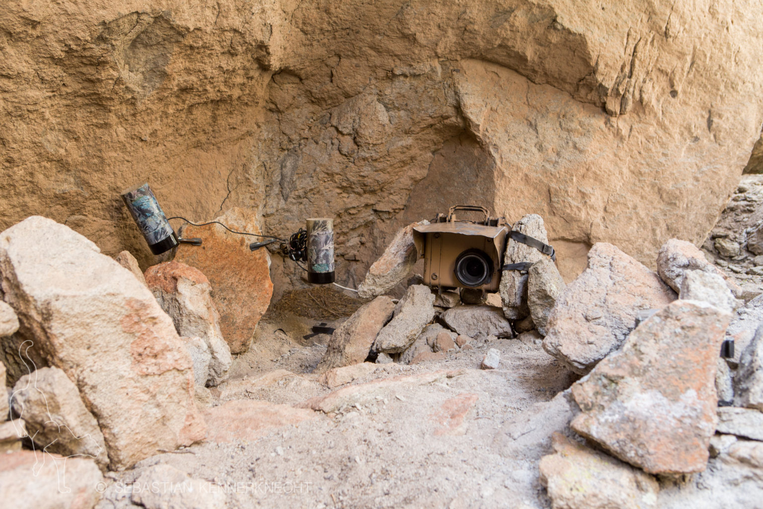 Camera Trapping Wild Cats | Voltaic Systems Blog
